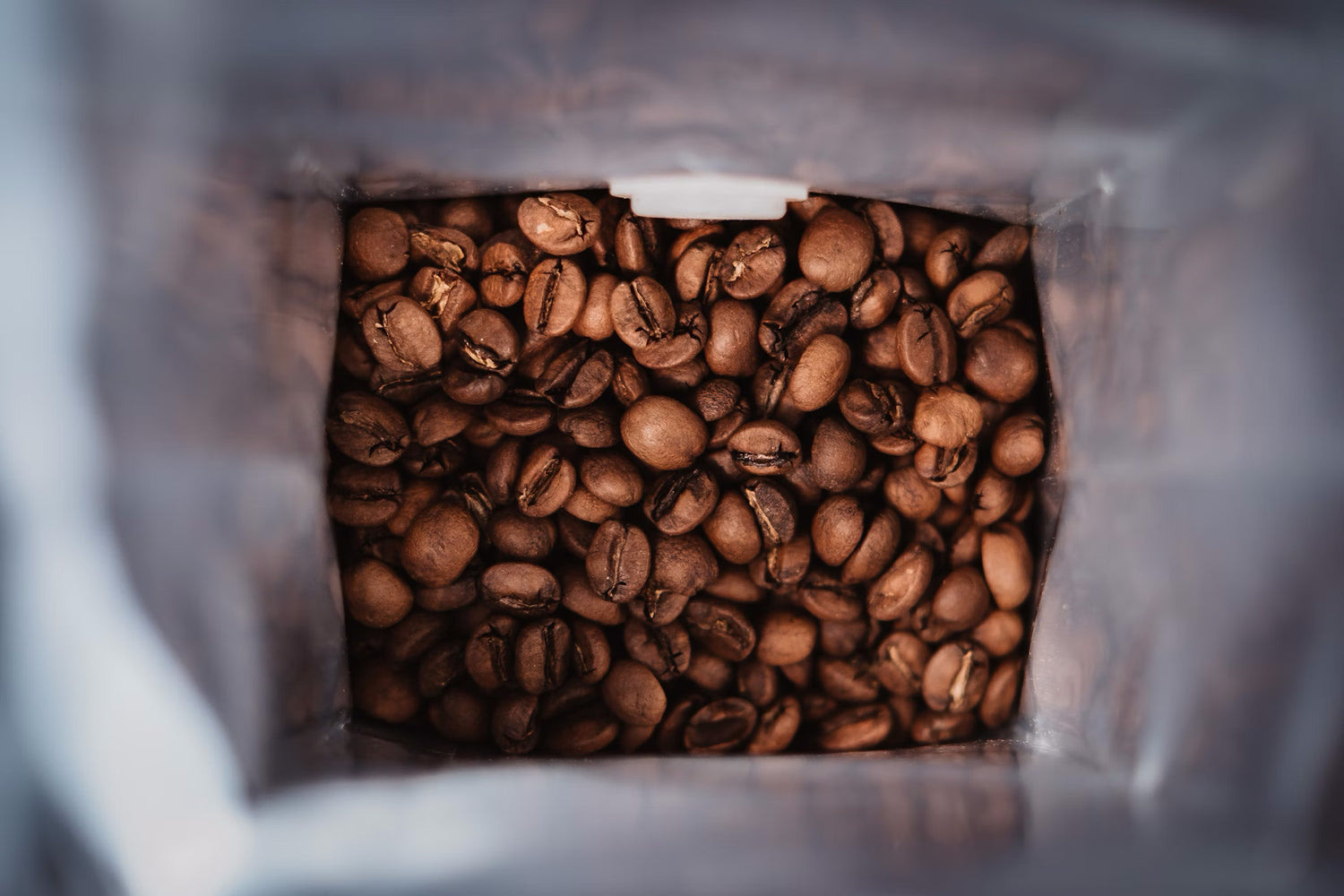 Nosotros – Cafe Loco Coffee LAB